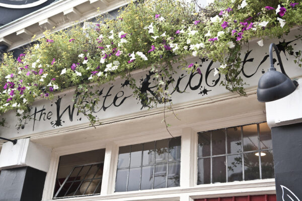 White Rabbit - Brighton Events Guide!