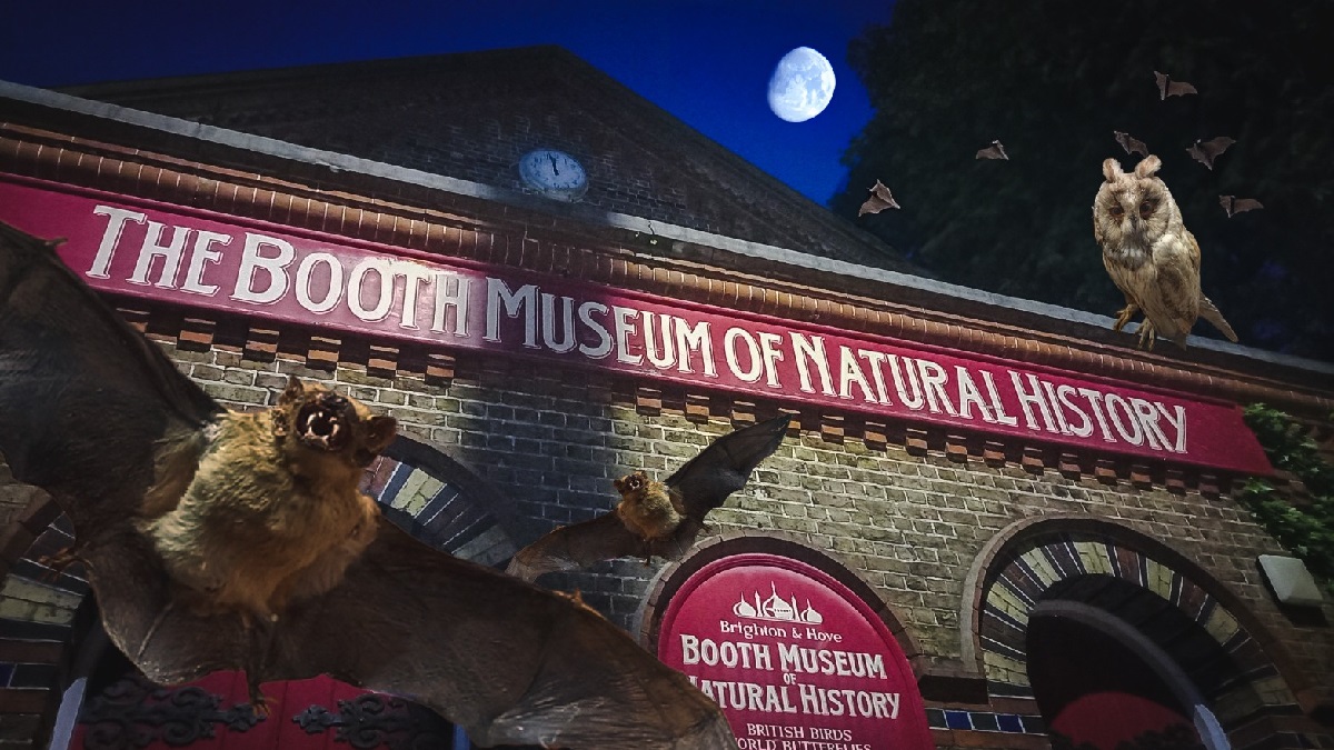 An Evening at the BOOth Museum: Halloween Edition - Brighton Events ...